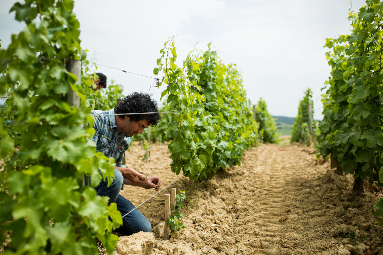 A duo of 2022 Sancerre from Domaine Claude Riffault – Atlas Fine Wines ...