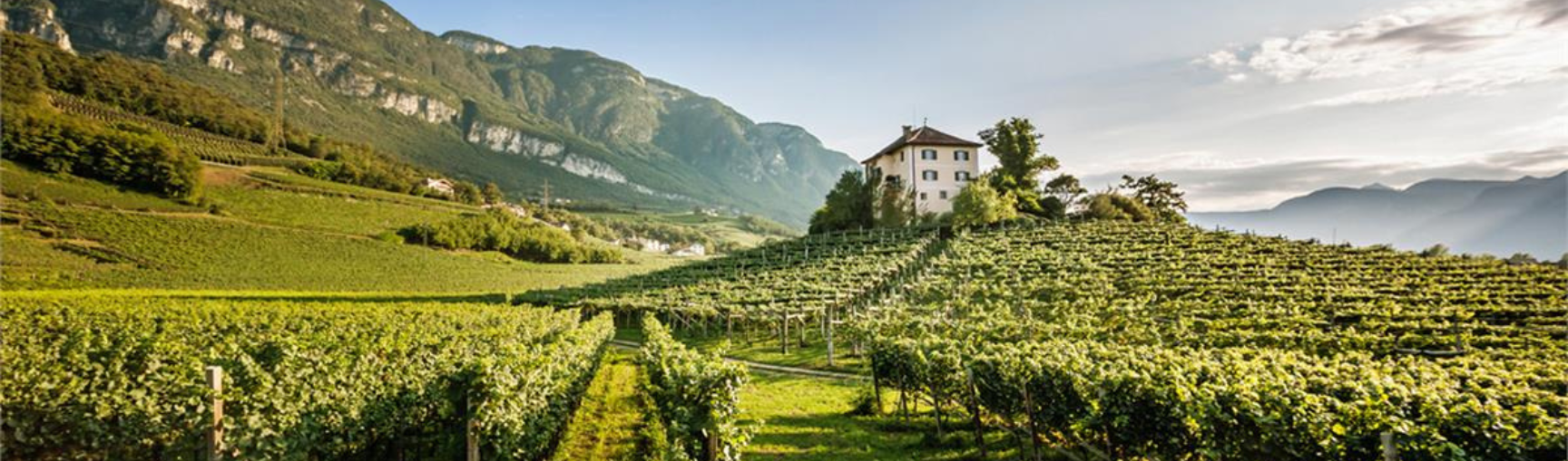Offers – Atlas Fine Wines Limited