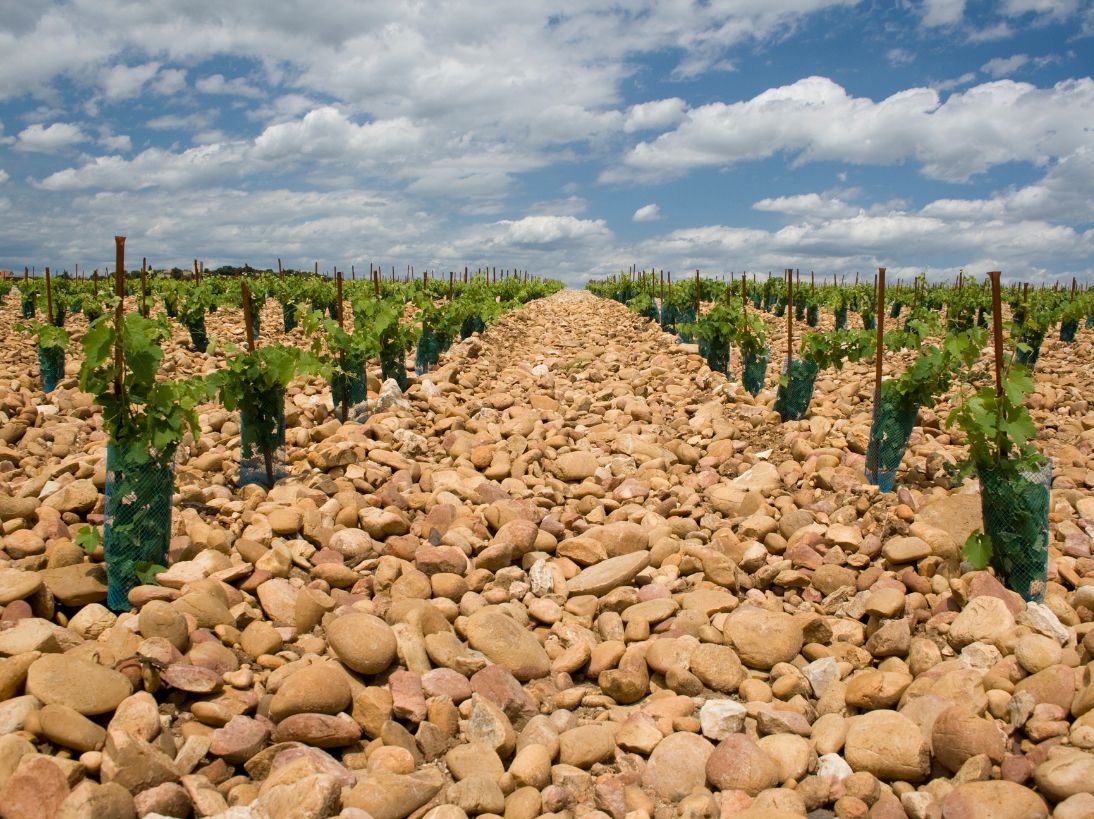 Southern Rhône 2010 – Atlas Fine Wines Limited